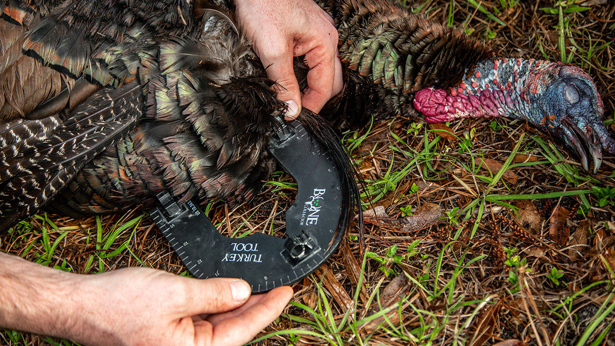 Bone Collector Turkey Tool | Essential Gear for Field & Trophy Prep