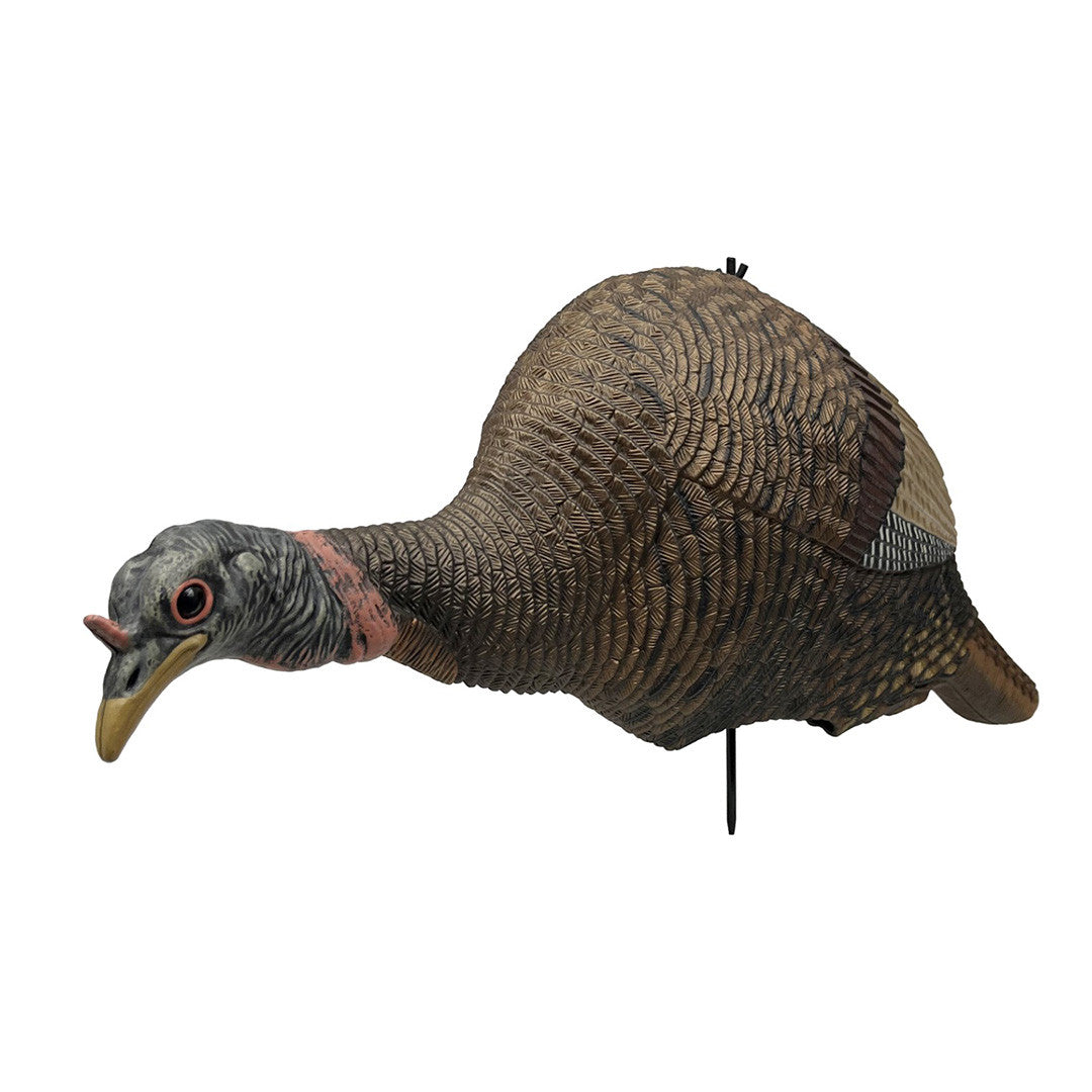Bone Collector Feeding Hen Decoy for Turkey Hunting Success
